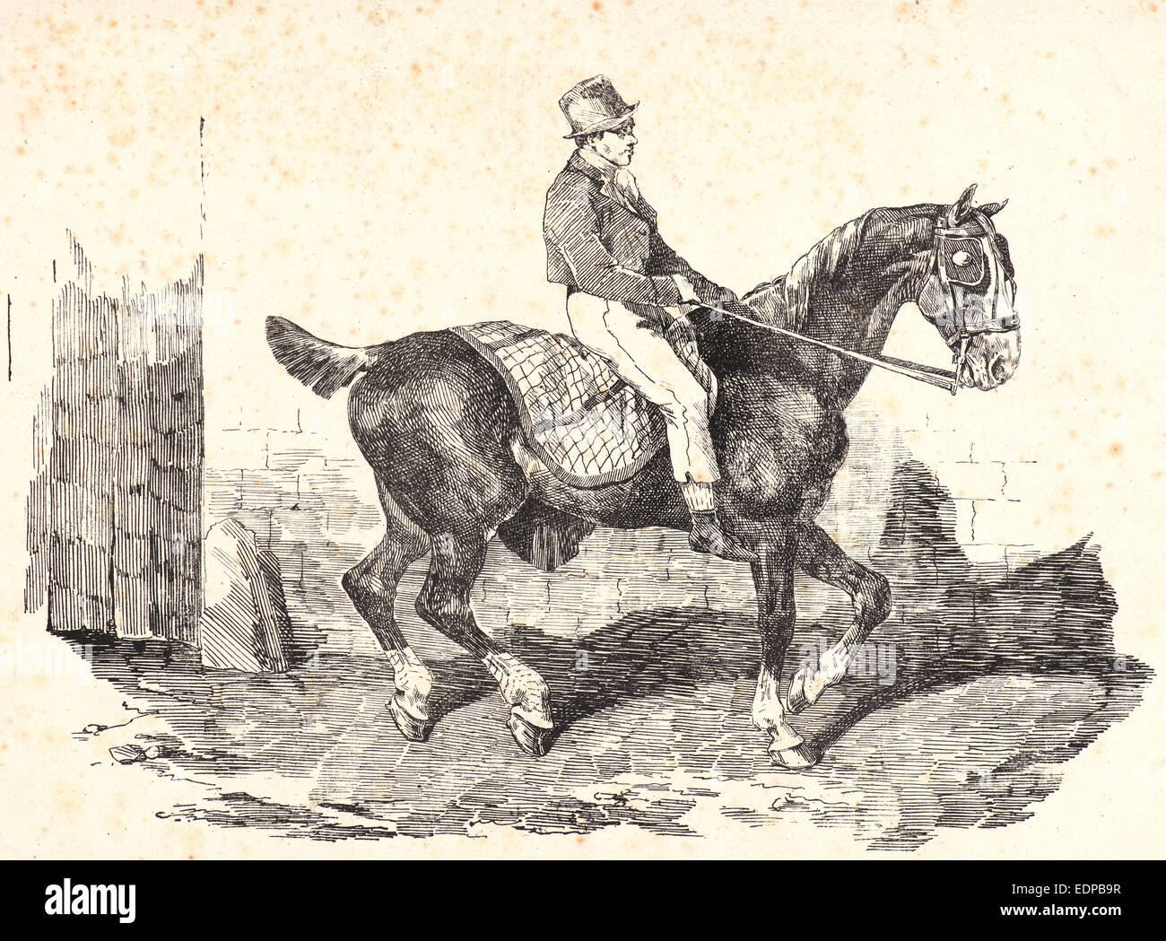 Lithograph lithographic cardboard hi-res stock photography and images ...