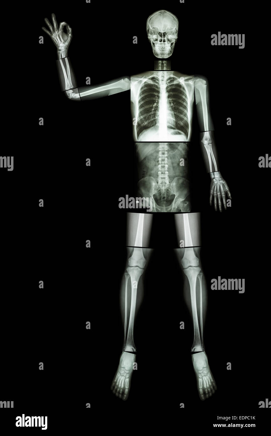 OK skeleton (Human bone raise the hand and OK sign) (Whole body : head ...