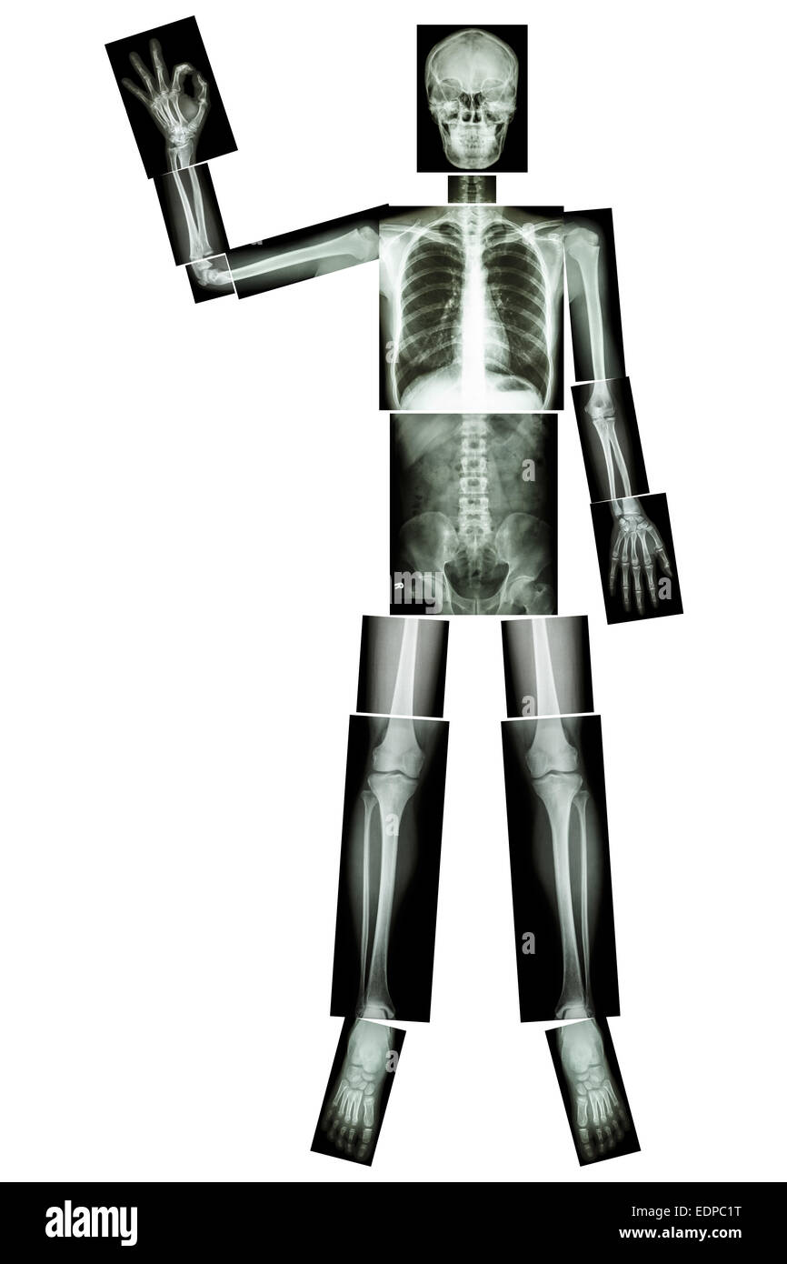 Skeleton skeleton Cut Out Stock Images & Pictures - Alamy