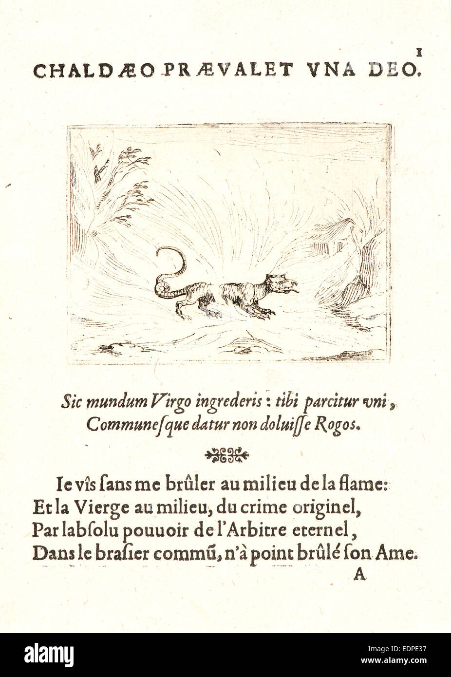 Jacques Callot (French, 1592 - 1635). Salamandre Marchant dans les ...