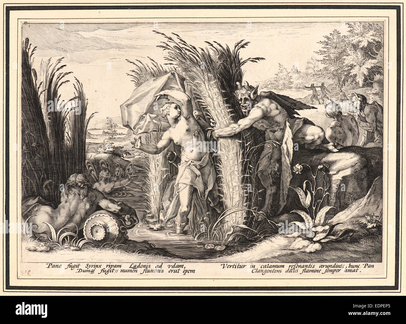 Syrinx Stock Photos & Syrinx Stock Images - Alamy