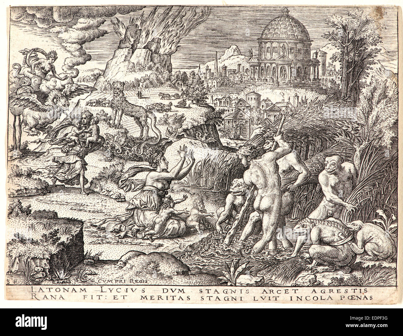 French frogs hi-res stock photography and images - Alamy