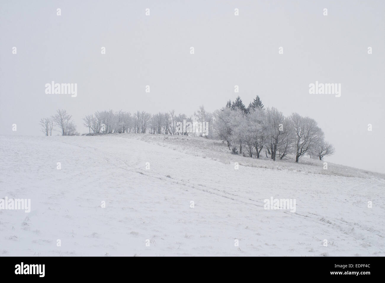 Polish winter landscapes hi-res stock photography and images - Alamy
