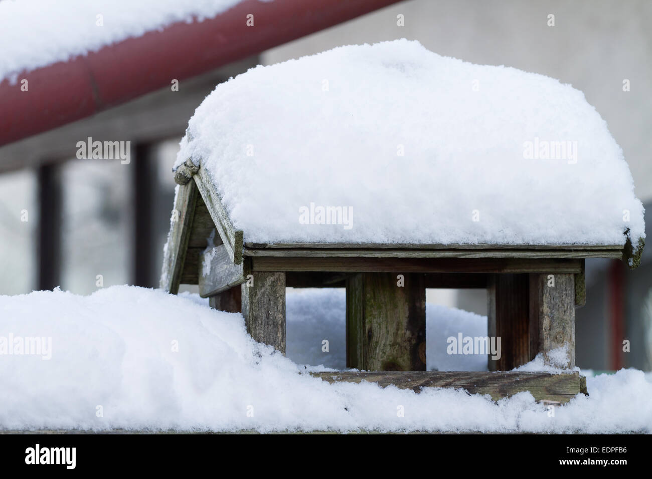 Bird house with snow cover Stock Photo - Alamy