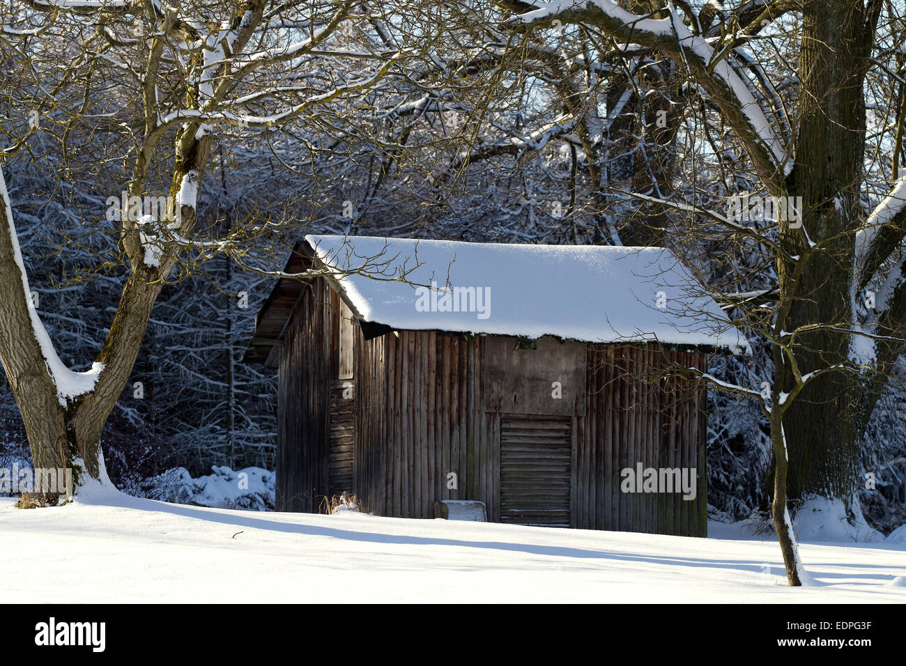Old shack in white snow hi-res stock photography and images - Alamy