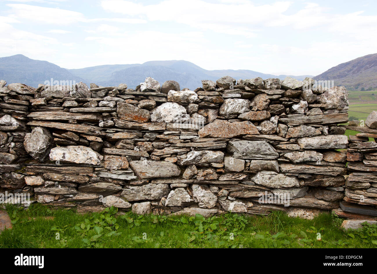 Drystone walls in front of Manod Mawr in the Moelwyn mountain range on ...