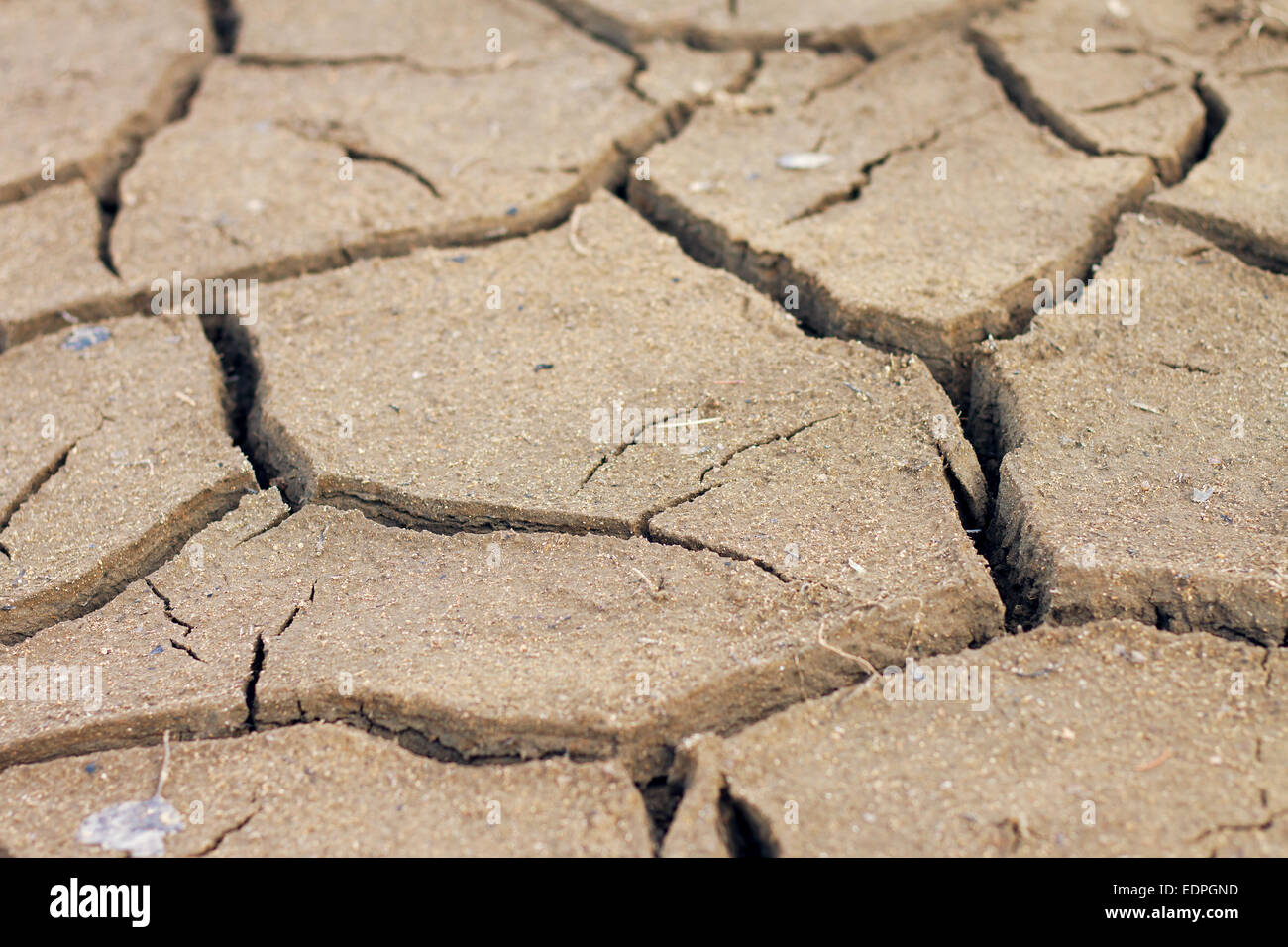 Soil ecology hi-res stock photography and images - Alamy