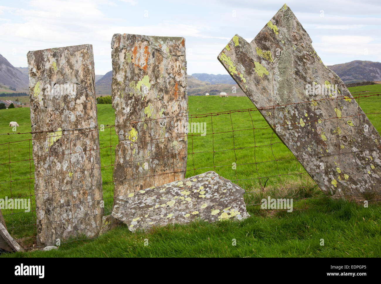 Improvised slate field fence near Blaenau Ffestiniog in Gwynedd, North ...