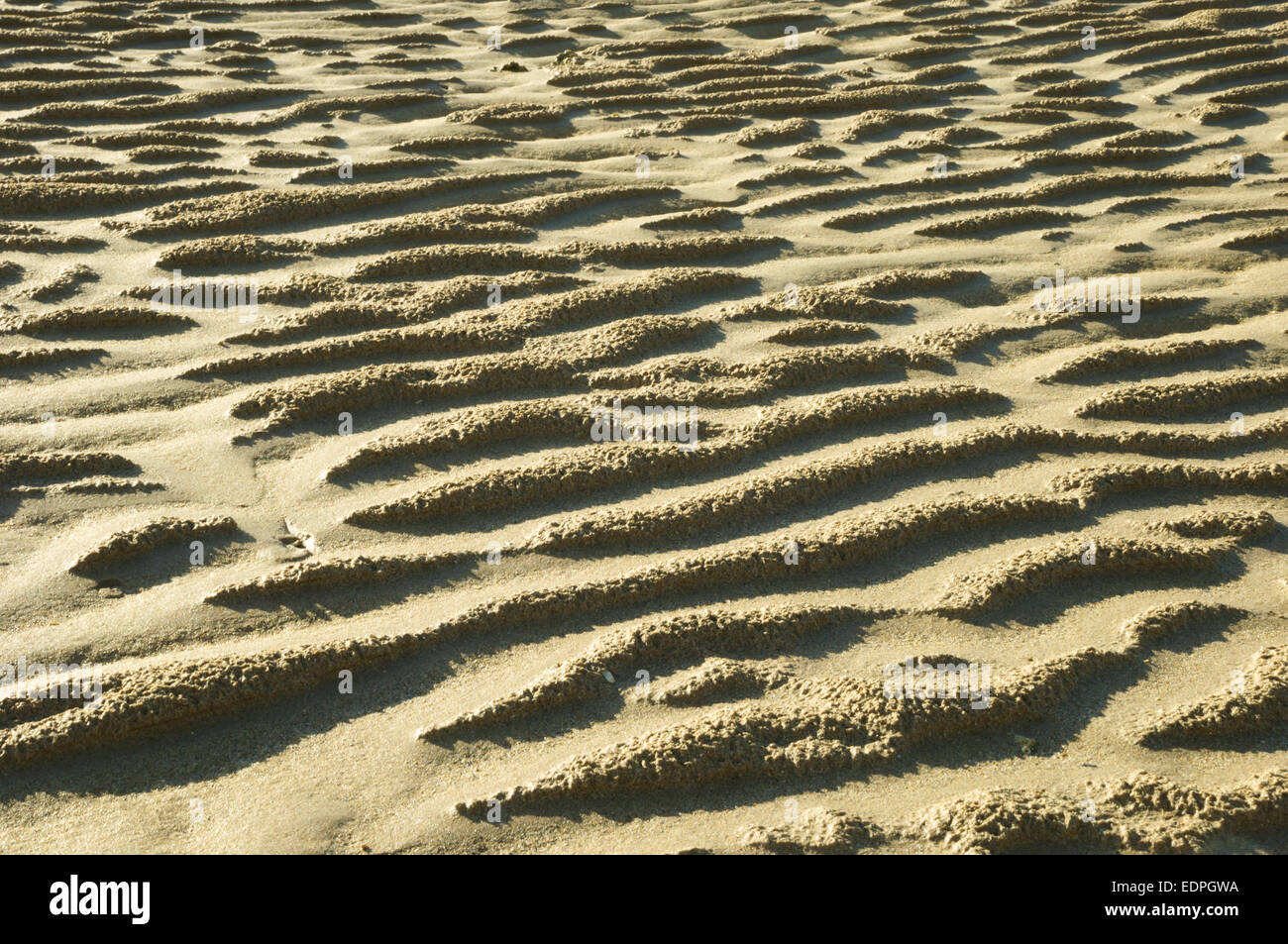 beautiful sand background Stock Photo - Alamy