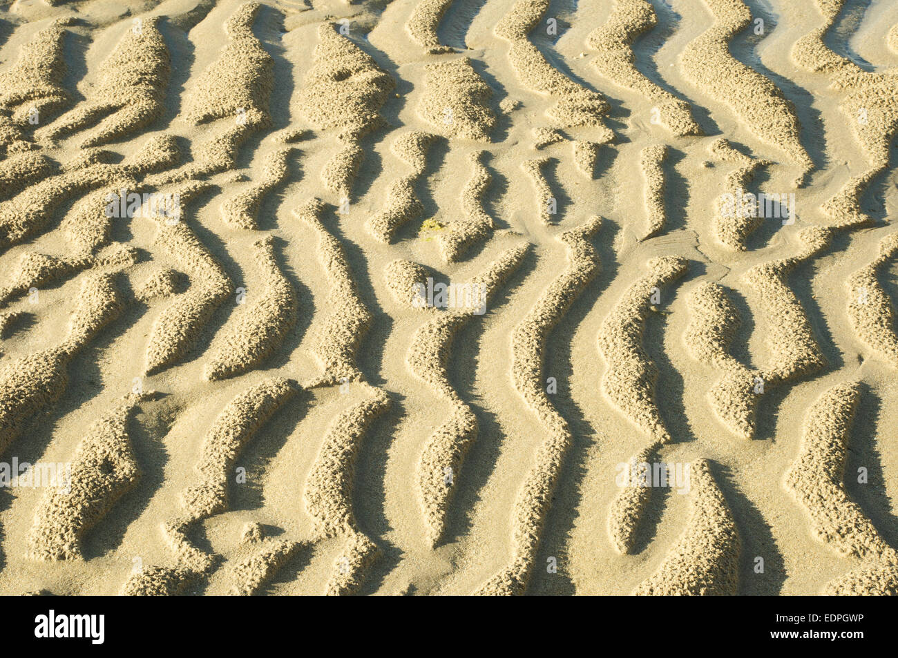beautiful sand background Stock Photo - Alamy