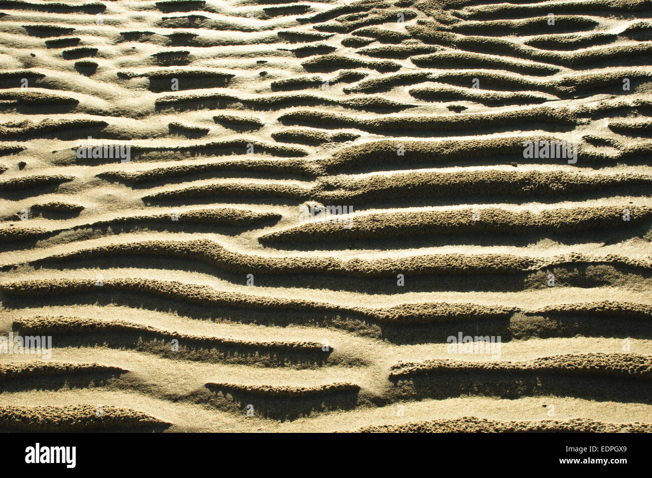 beautiful sand background Stock Photo - Alamy