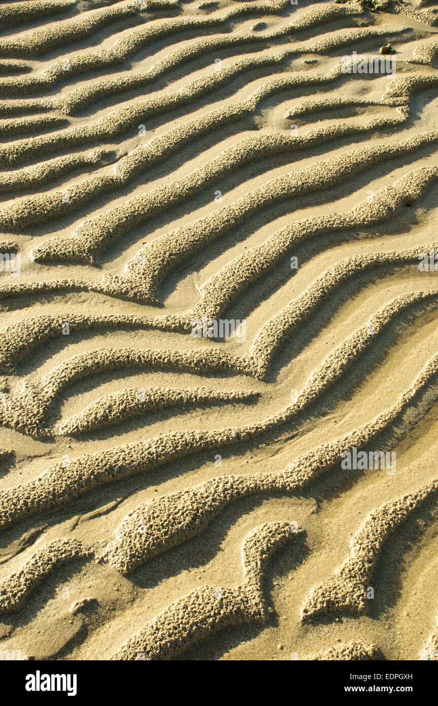 beautiful sand background Stock Photo - Alamy