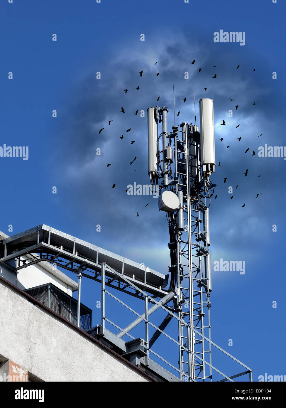 Adverse effects of radiofrequency radiation on birds. - conceptual ...