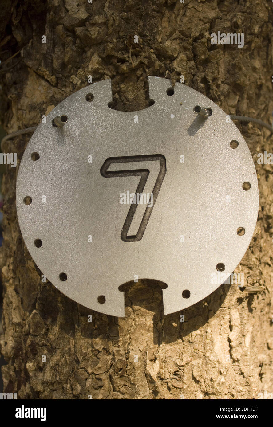 Plate number 7 on tree background Stock Photo - Alamy