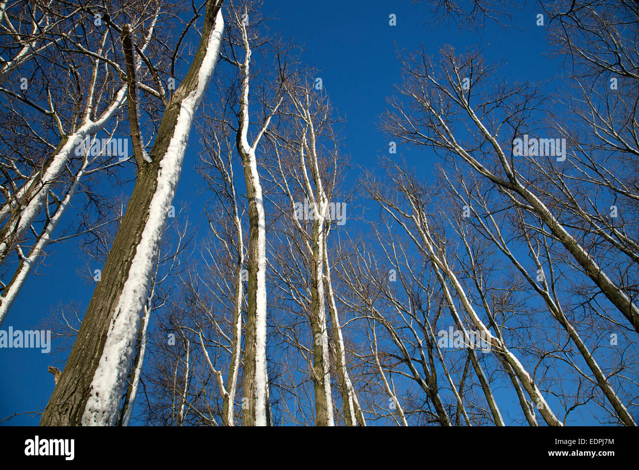 Partly covered hi-res stock photography and images - Alamy