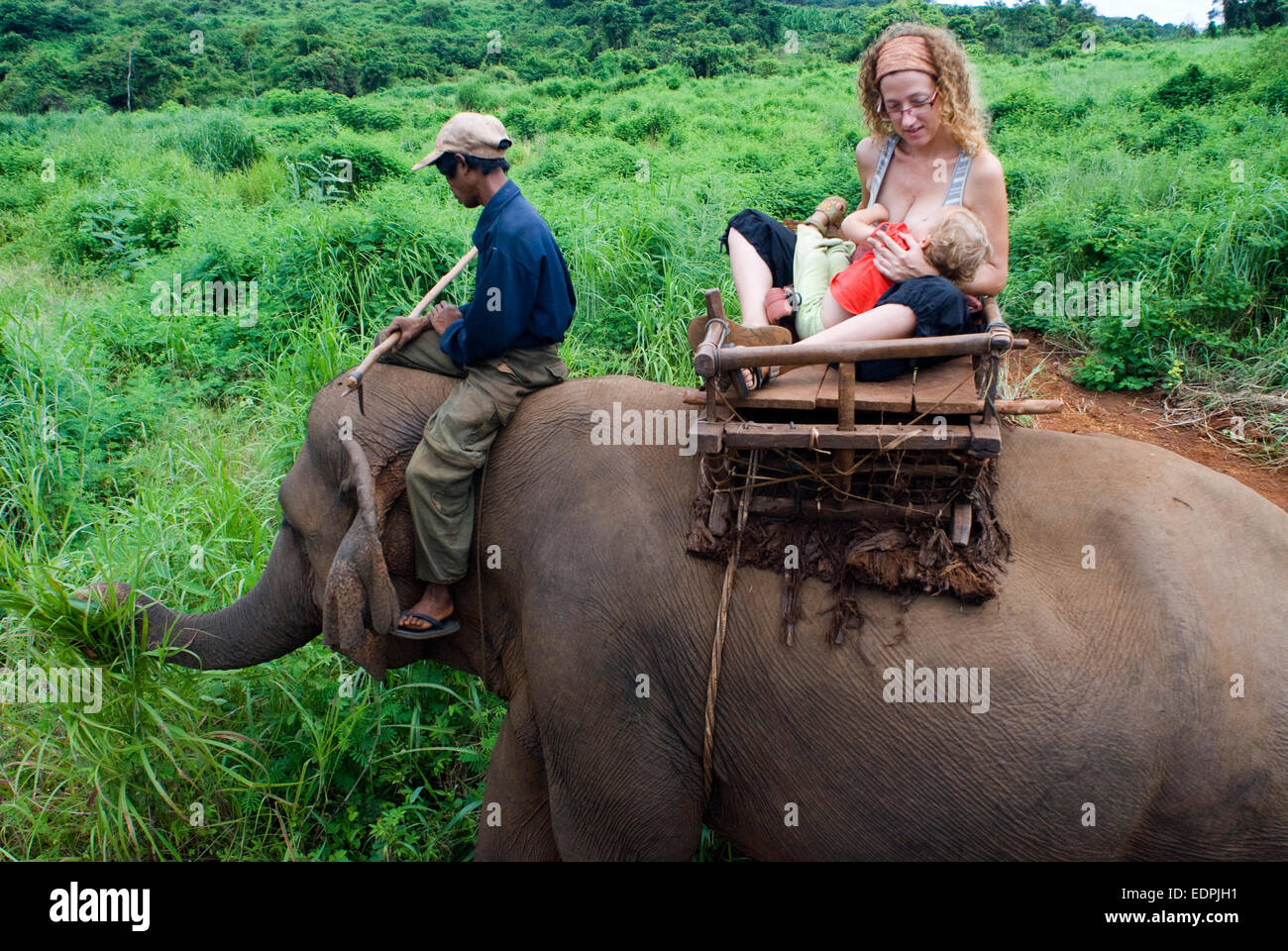 Elefant Rides High Resolution Stock Photography and Images - Alamy