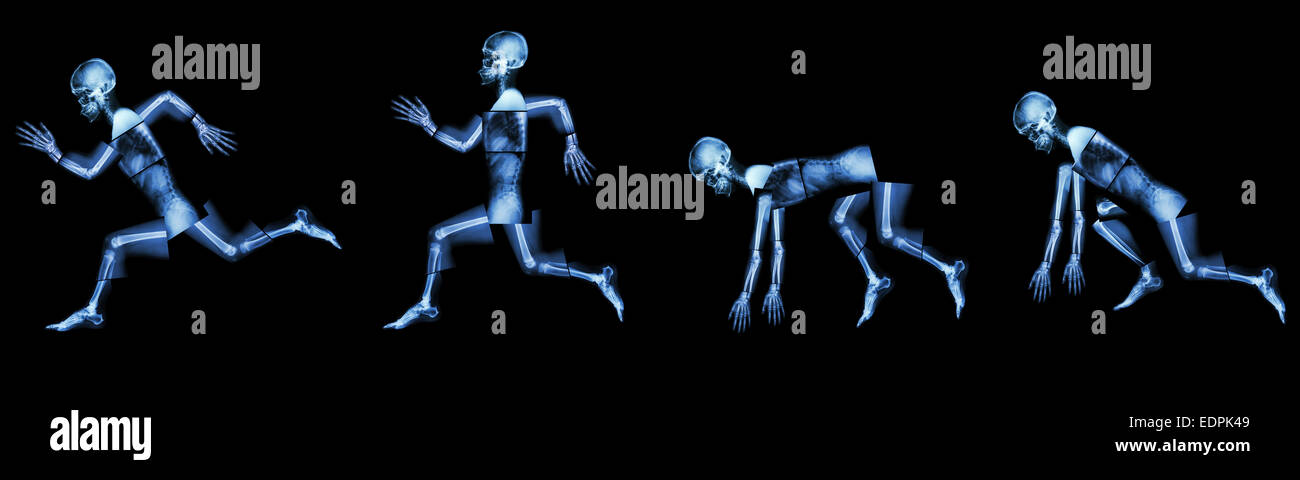 Human body anatomy hi-res stock photography and images - Alamy