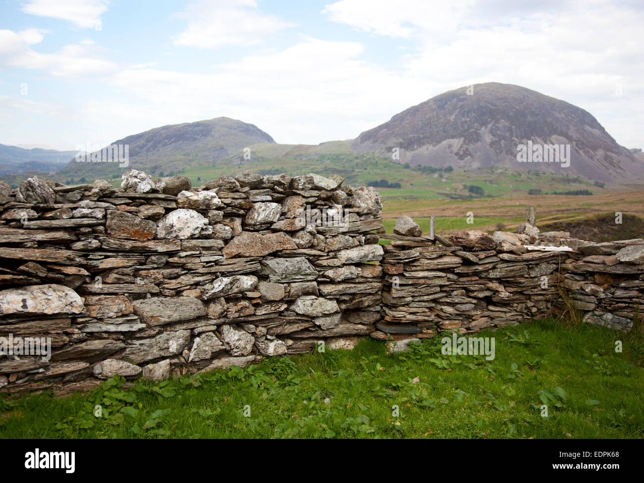 Drystone walls in front of Manod Mawr in the Moelwyn mountain range on ...