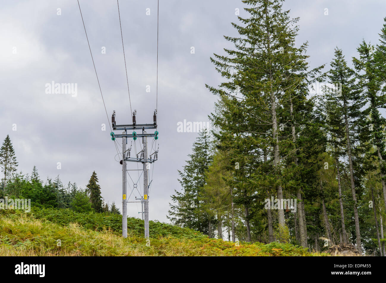 Power lines on poles a pole a pylon pylons across the Scottish ...