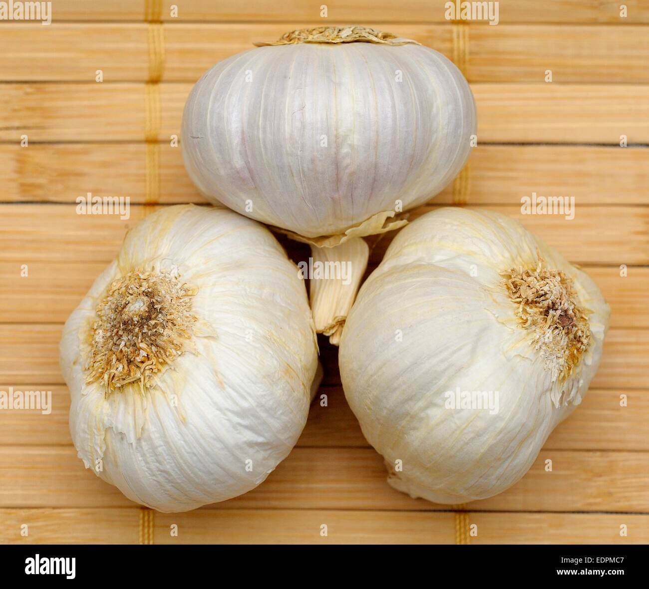 Taste bulbs hi-res stock photography and images - Alamy