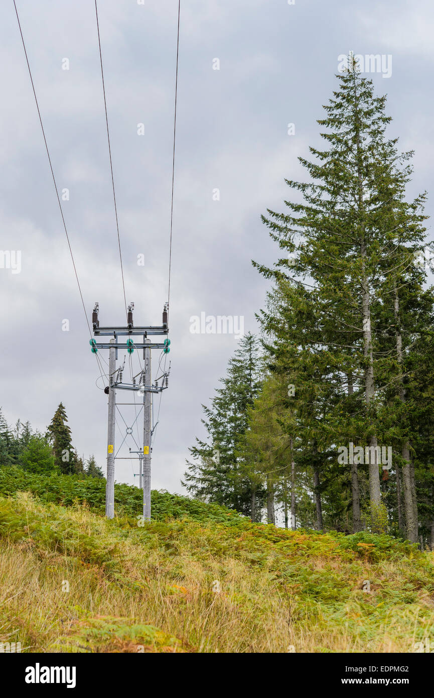 Power electricity lines on poles pylons a pole pylon across the ...