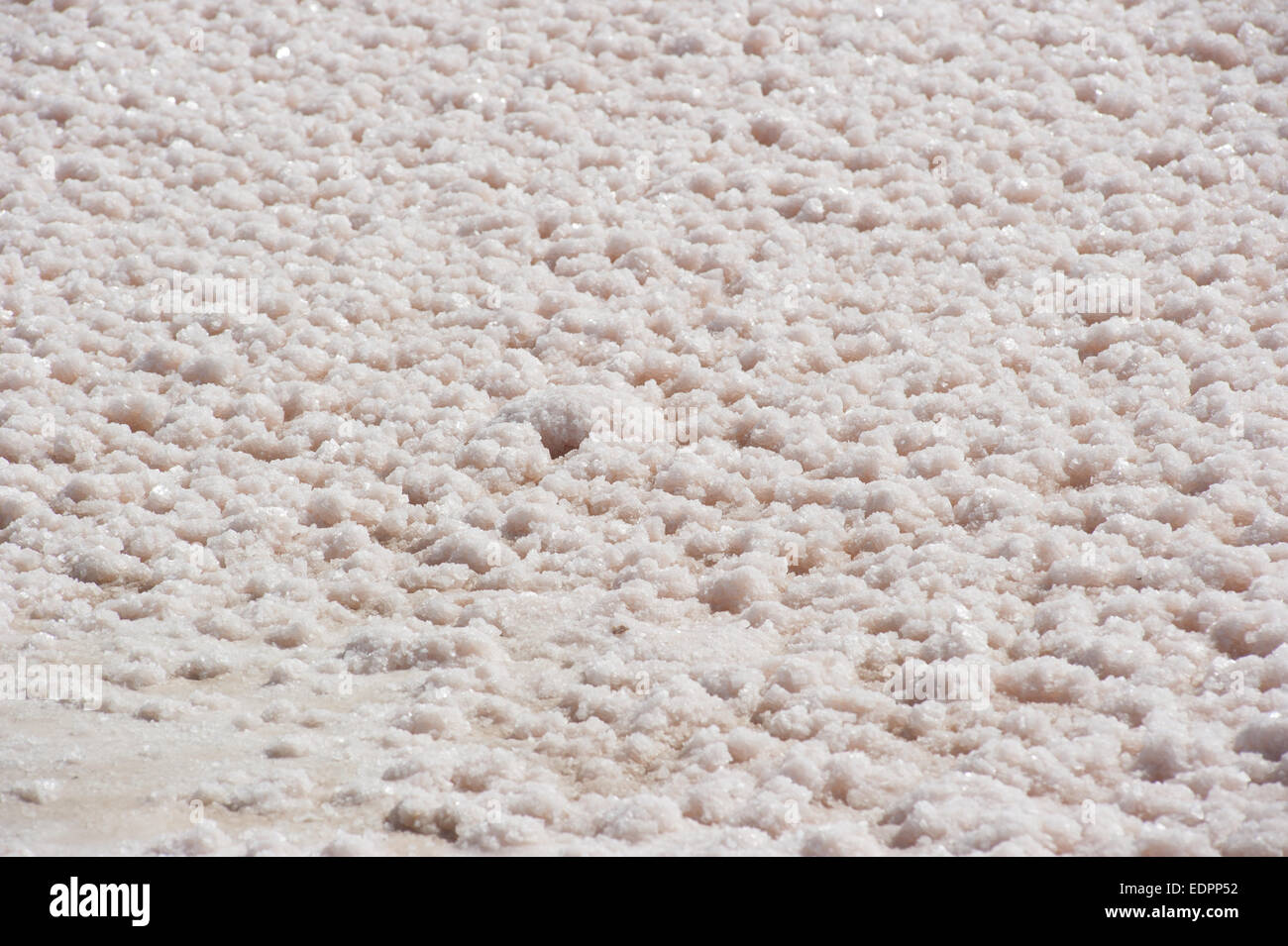 salt collecting in a salt farm Stock Photo - Alamy