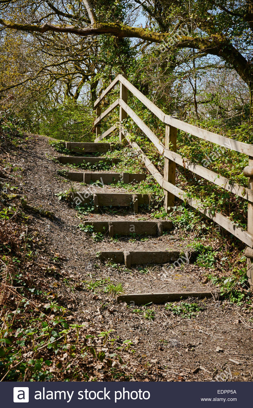 Rickety Stairs Stock Photos & Rickety Stairs Stock Images - Alamy