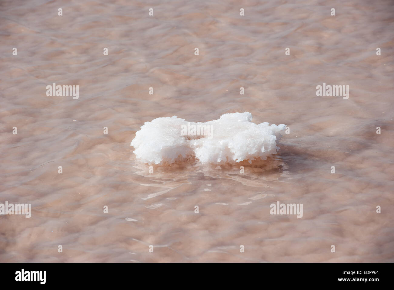 salt collecting in a salt farm Stock Photo - Alamy