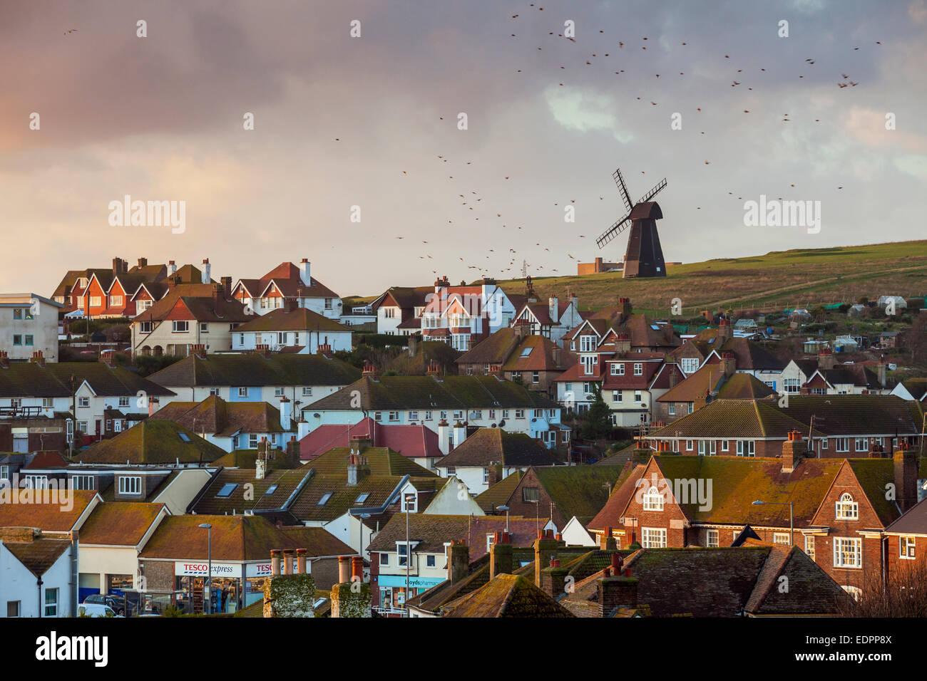 Rottingdean village, East Sussex, UK. 8th January, 2015. Starlings ...