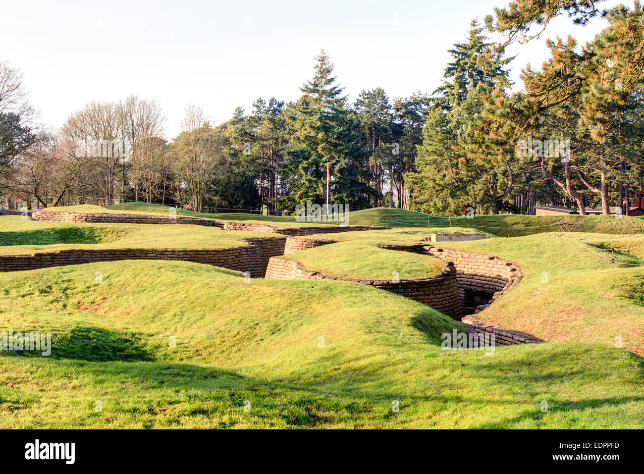 The trenches and craters on battlefield of Vimy ridge Stock Photo - Alamy