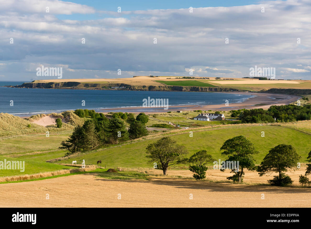 lunan bay montrose north sea beach Stock Photo - Alamy
