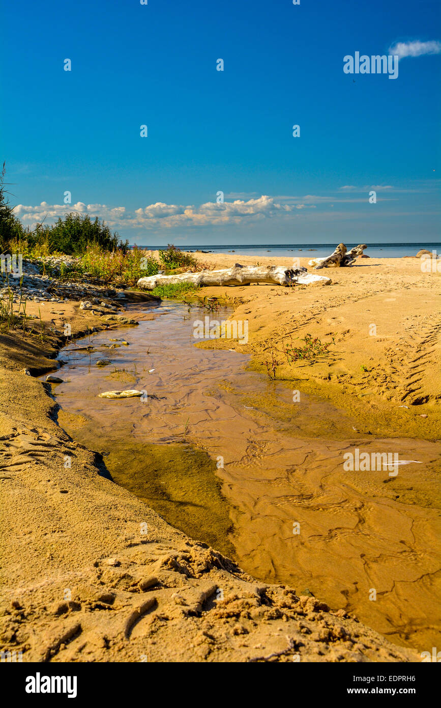 Gulf stream coast hi-res stock photography and images - Alamy