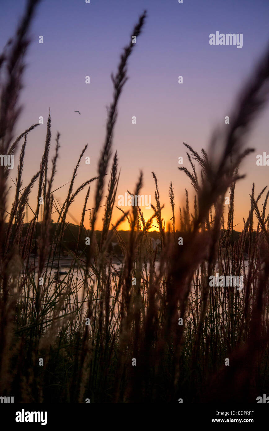 The last good day of the year hi-res stock photography and images - Alamy