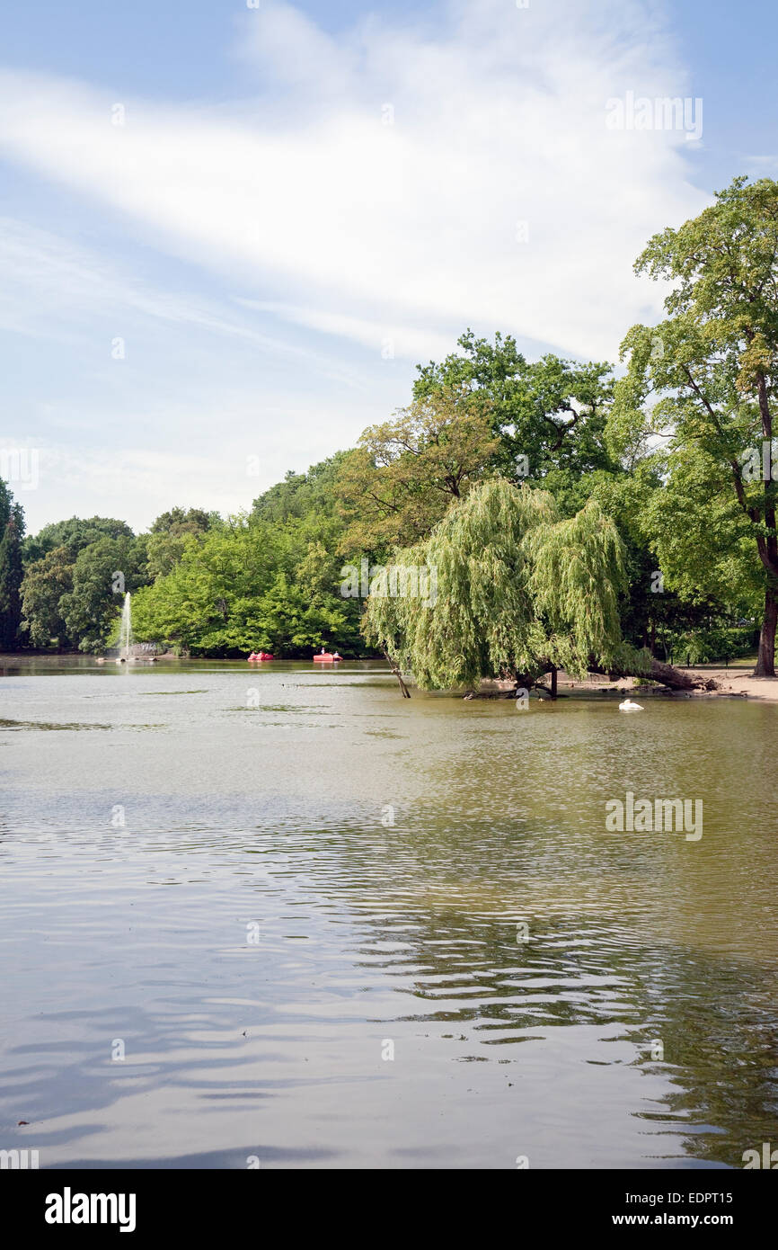 Boating Lake, Volksgarten, Cologne, Rhine-Westphalia, Germany Stock ...
