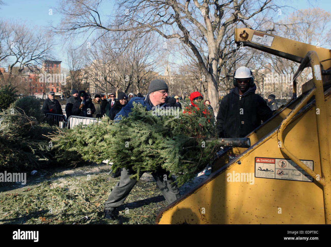 New York, USA. 8th Jan, 2015. Workers chip recycled Christmas trees at ...