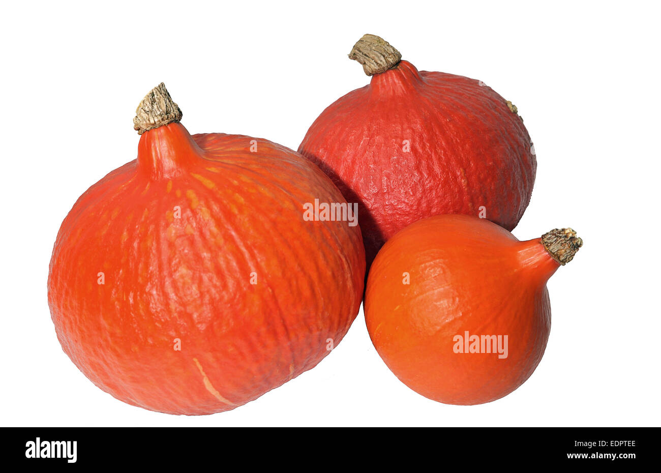 three red kuri squash isolated on a white background Stock Photo - Alamy