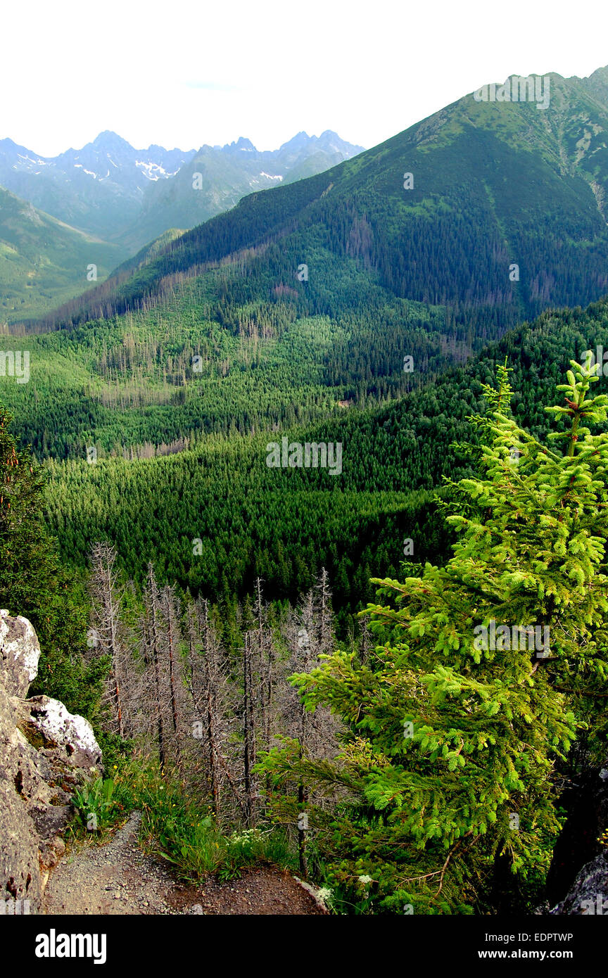 Mountain valley view hi-res stock photography and images - Alamy