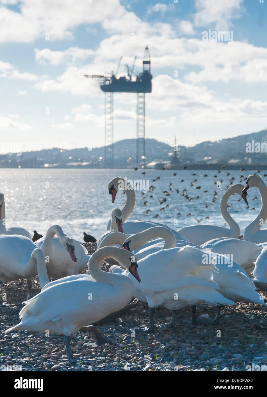 jack-up jackup oil rig installation swans dundee Stock Photo - Alamy
