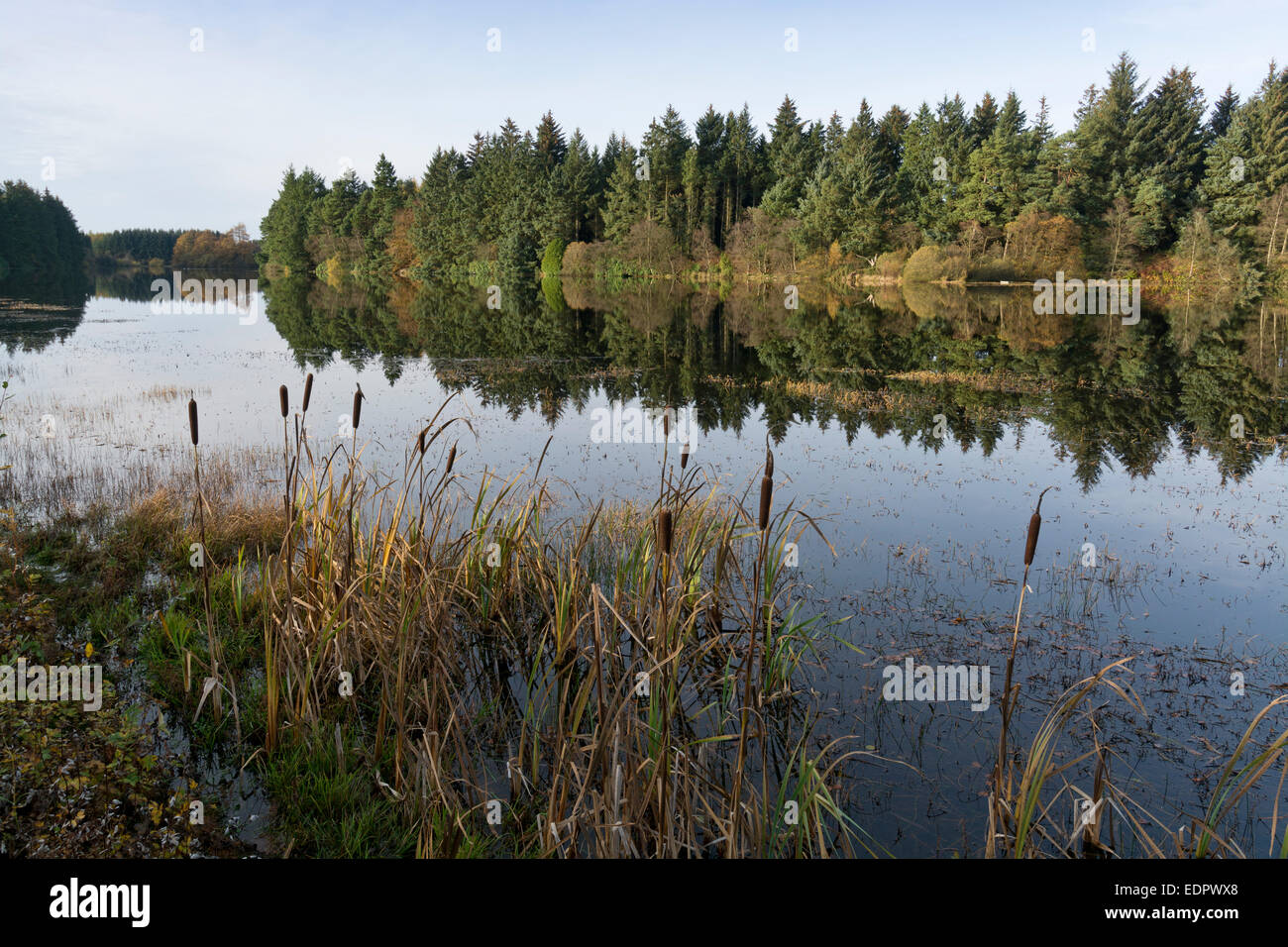 Crombie hi-res stock photography and images - Alamy