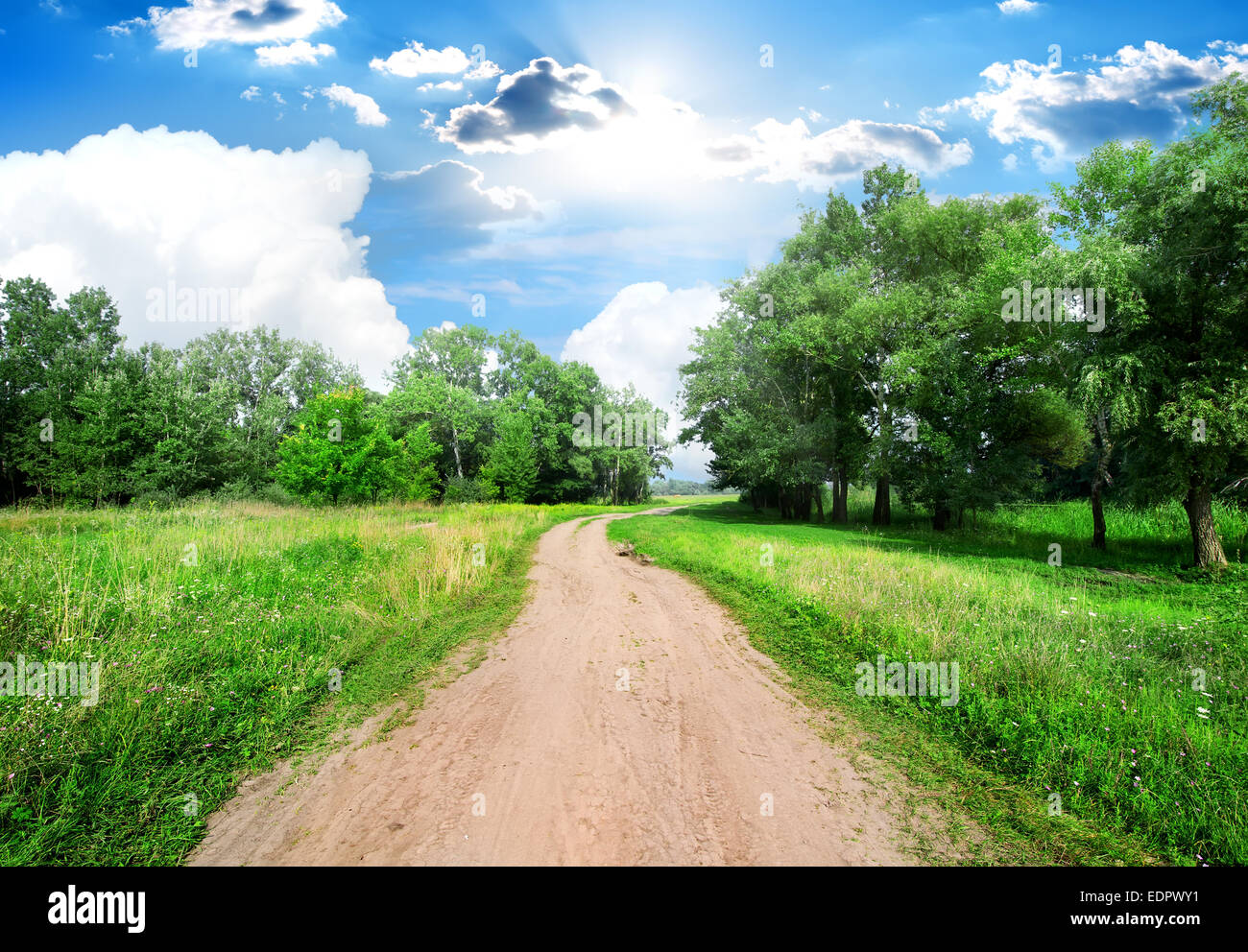 Sunny country landscape trees hi-res stock photography and images - Alamy