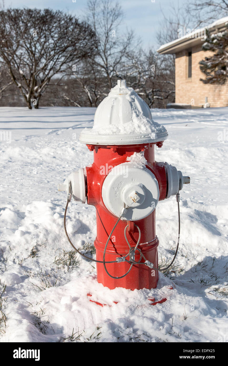 Red on White, fire hydrant in a snow coat Stock Photo - Alamy
