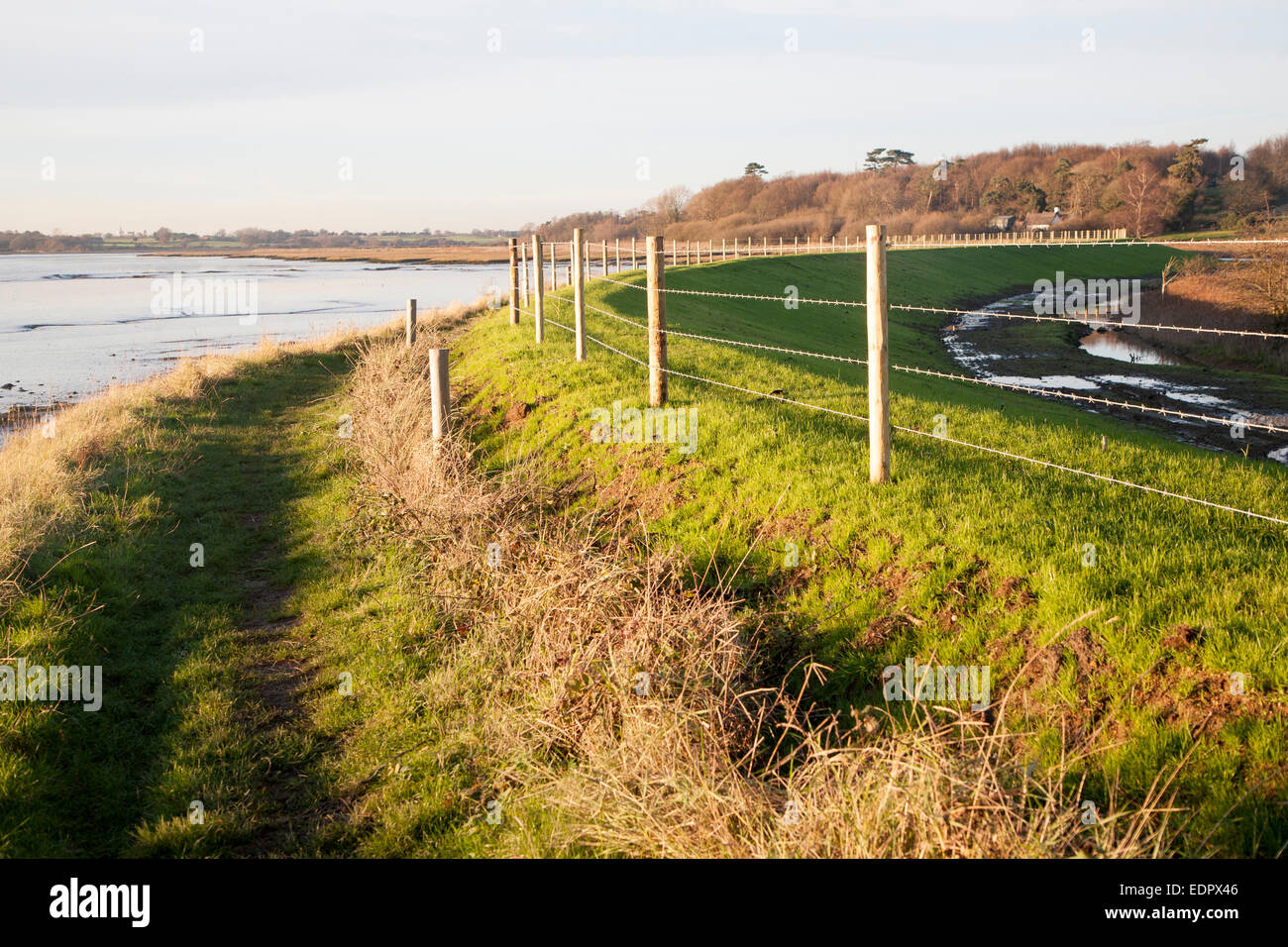 Newly repaired river flood defence wall, River Deben, Ramsholt, Suffolk ...