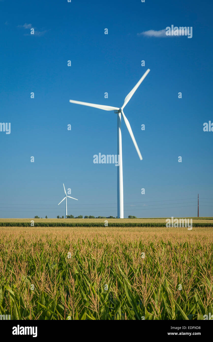 Wind turbine in corn field. Colo, Iowa Stock Photo - Alamy