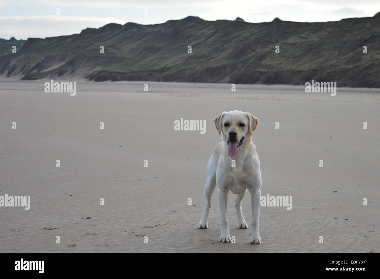 Hunmanby gap beach hi-res stock photography and images - Alamy