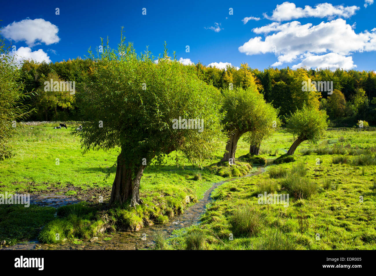 Stream border hi-res stock photography and images - Alamy