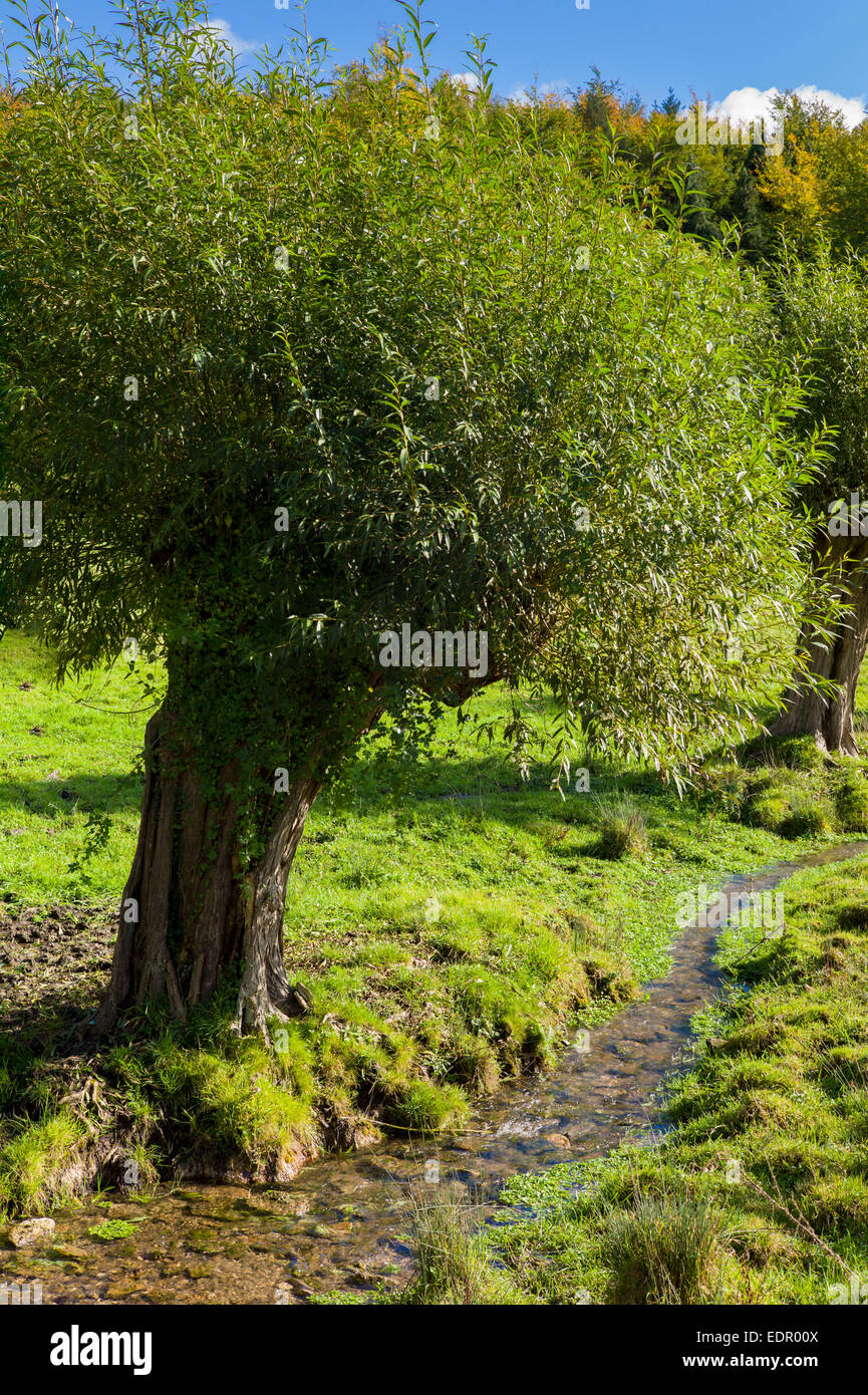 Stream border hi-res stock photography and images - Alamy