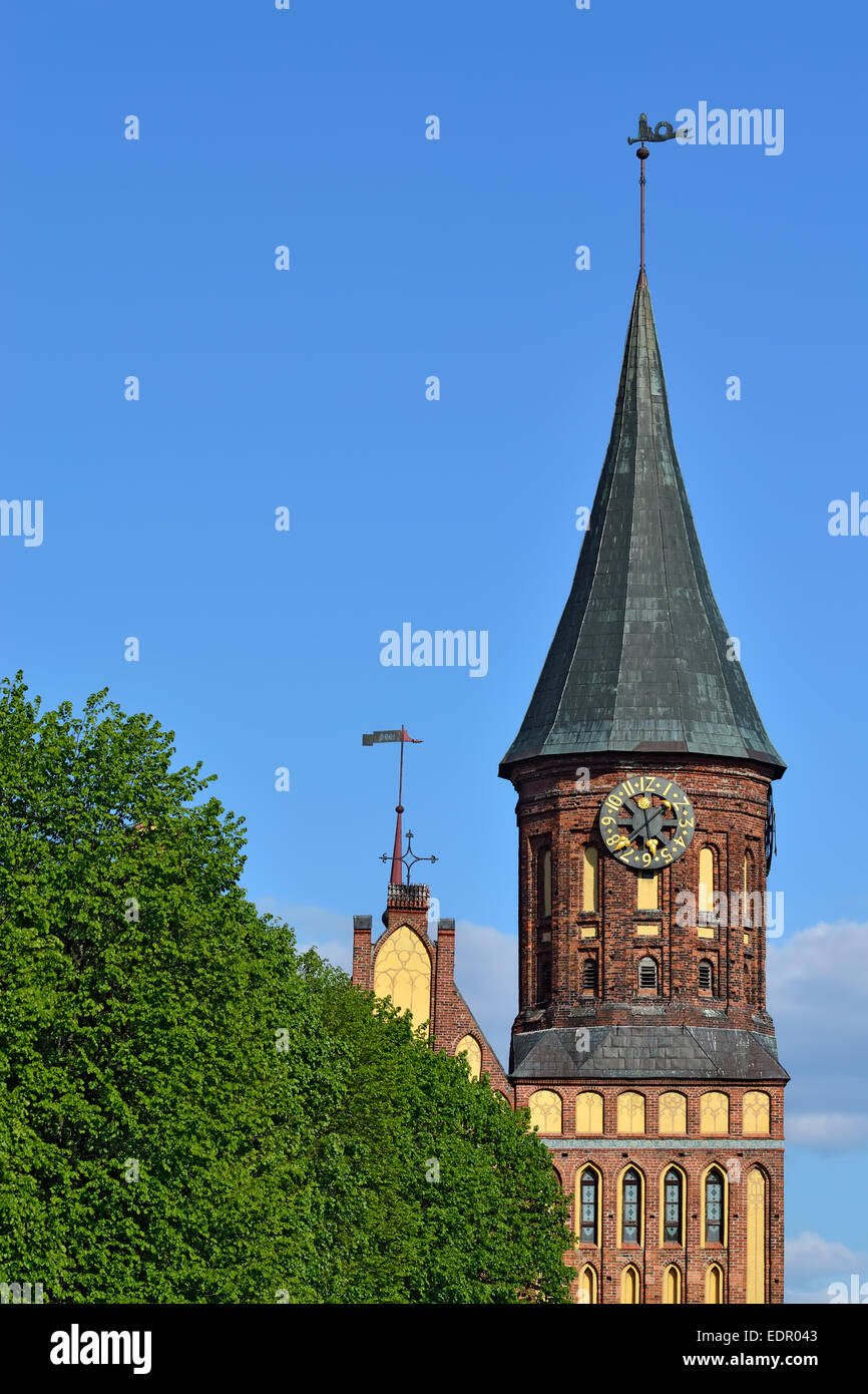 Tower of the Koenigsberg Cathedral. Gothic 14th century. Symbol of the ...