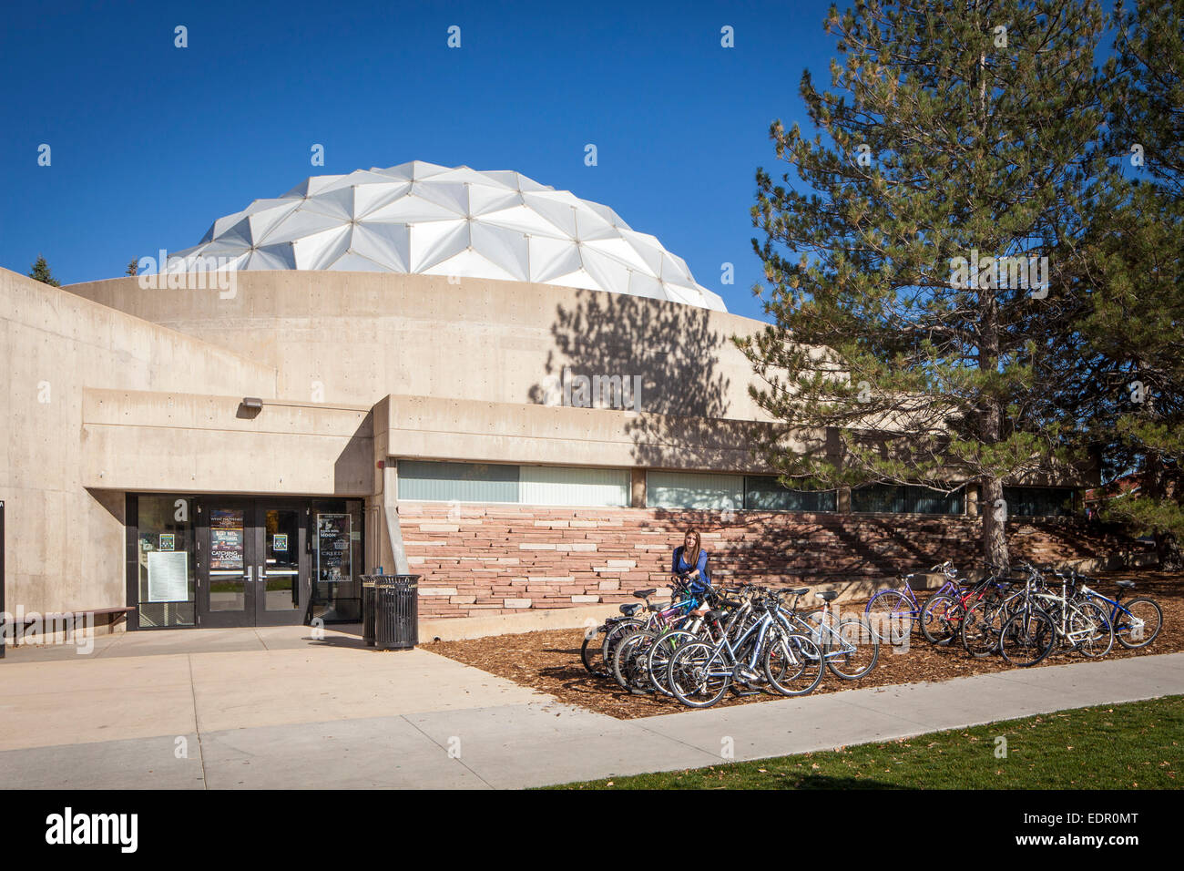 Fiske hi-res stock photography and images - Alamy