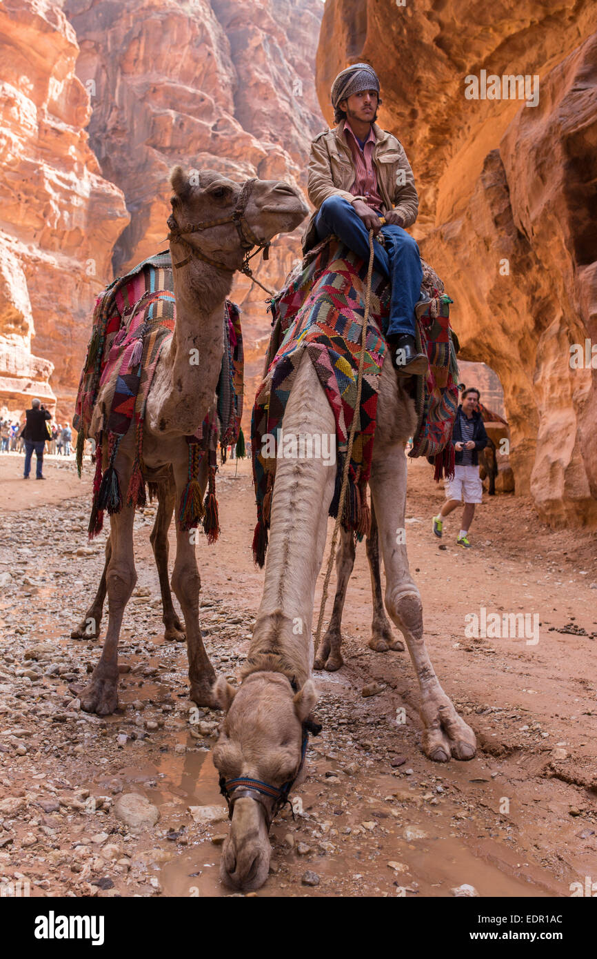 Petra (Arabic: البتراء, Al-Batrāʾ; Ancient Greek: Πέτρα) is a ...