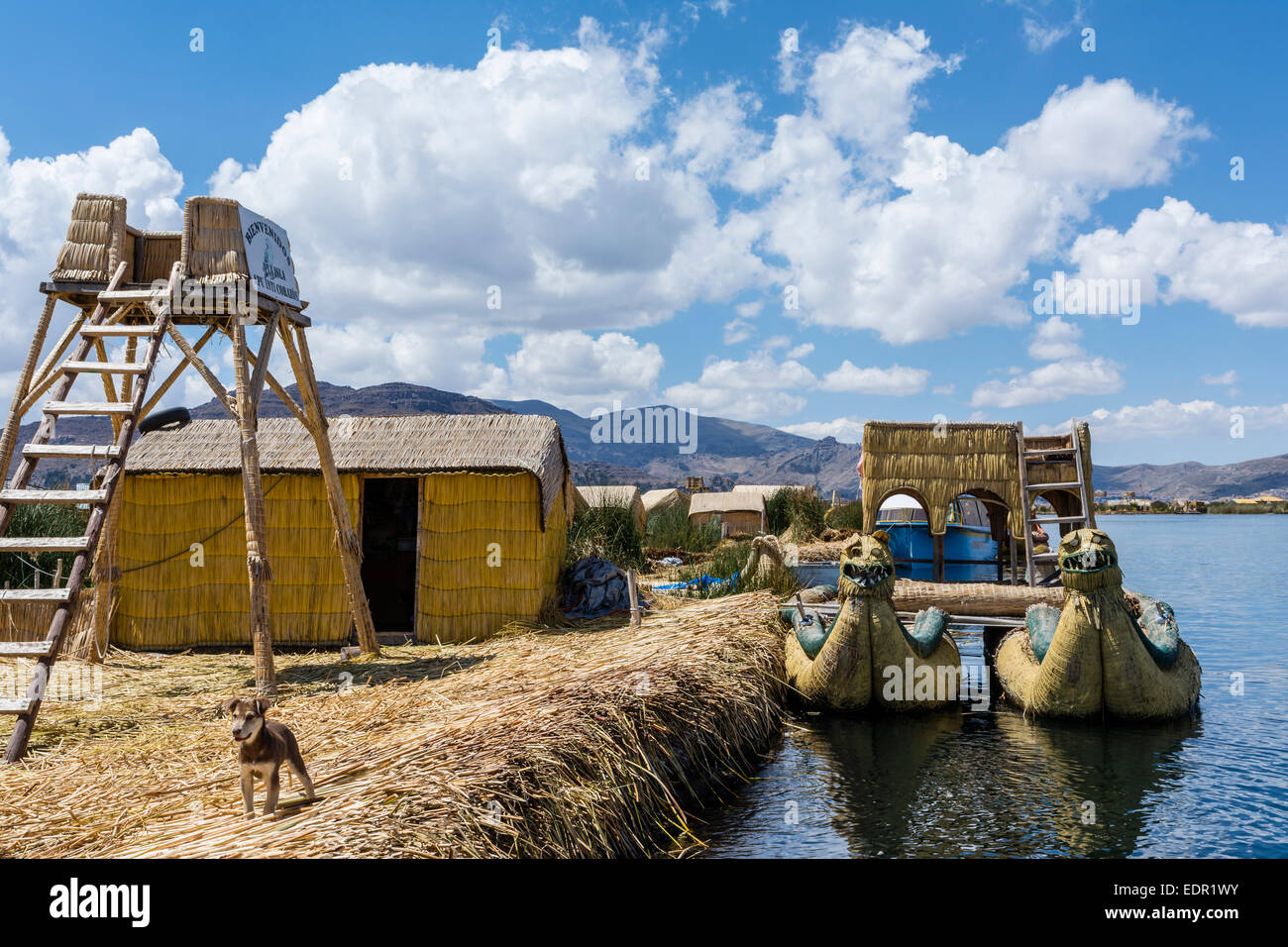 Uros Floating Islands, Lake Titicaca, Peru Stock Photo - Alamy